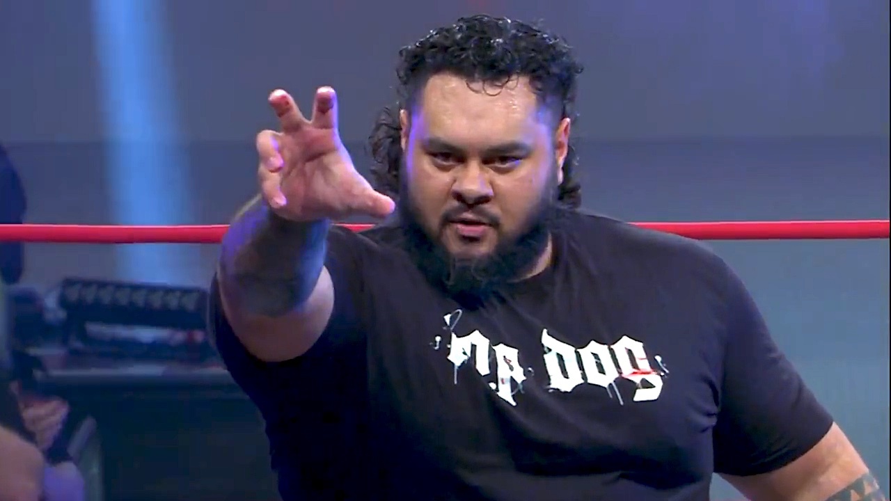 Jonah Makes Impact Wrestling Debut at Turning Point – TPWW