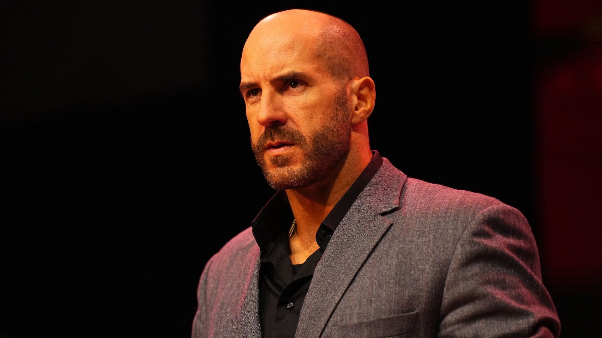 Weekend Roundup: WWE NoC 2023, Liv Morgan, Wrestling TV Shows Viewer ...